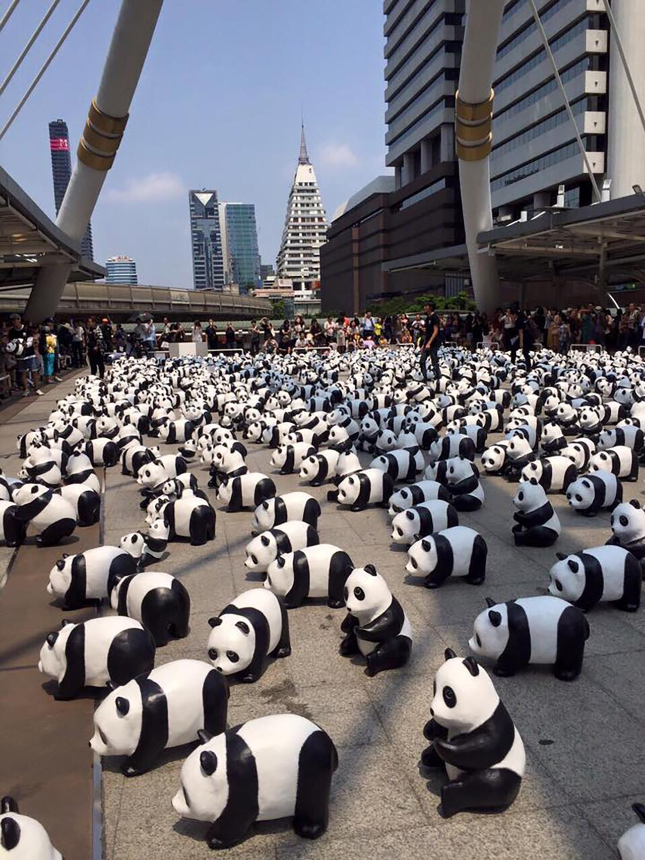 ติ่ง EXO ปะทะ ติ่ง panda! กองทัพ 'หมีสายแบ๊ว' เคลื่อนพลยึดช่องนนทรี