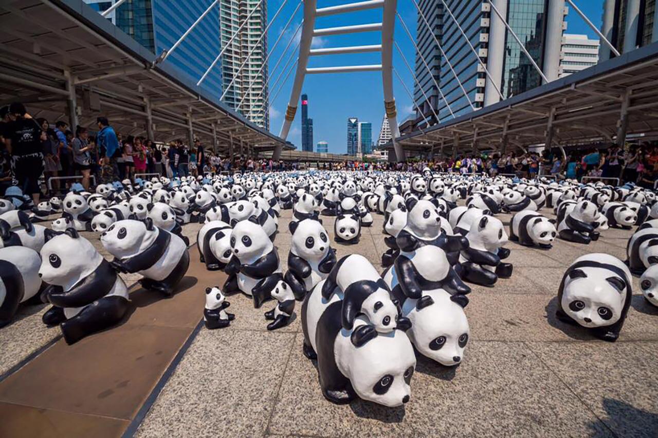 ติ่ง EXO ปะทะ ติ่ง panda! กองทัพ 'หมีสายแบ๊ว' เคลื่อนพลยึดช่องนนทรี