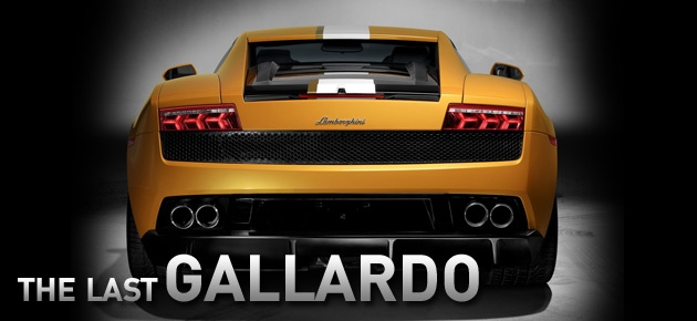 THE LAST GALLARDO