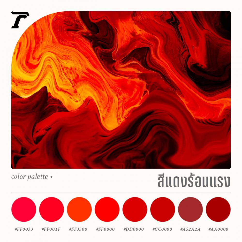 รู้จัก "โค้ดสี" HTML รหัสสีสวยๆ ที่ใช้บ่อย มีอะไรบ้าง?