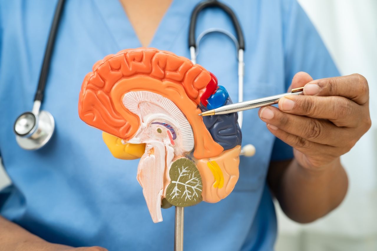 Doctors Warn PM 2.5 Dust Impacts Brain, Increasing Risk of Early ...