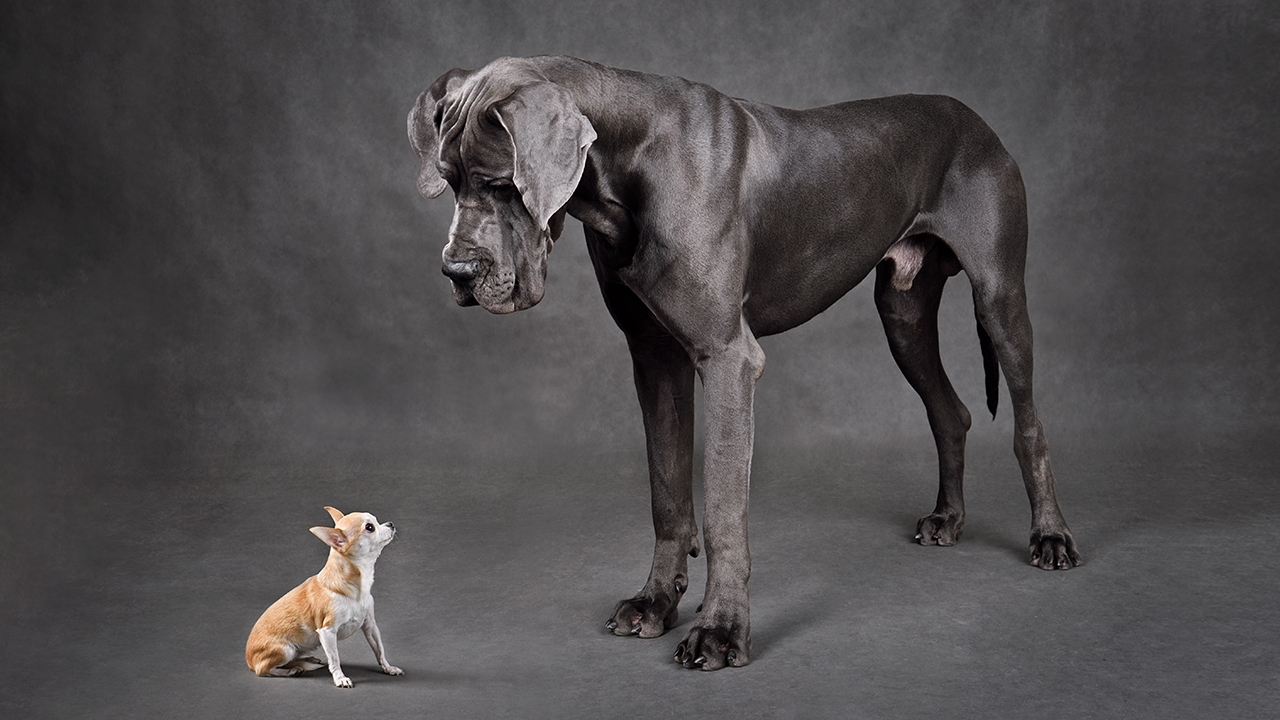 These predators ruled the Earth millions of years before the dinosaurs