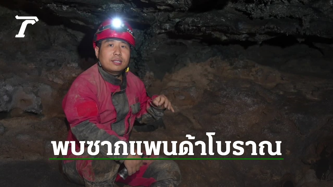 Unearthing Ancient Giant Panda Remains in Shuanghe Cave: Discoveries ...