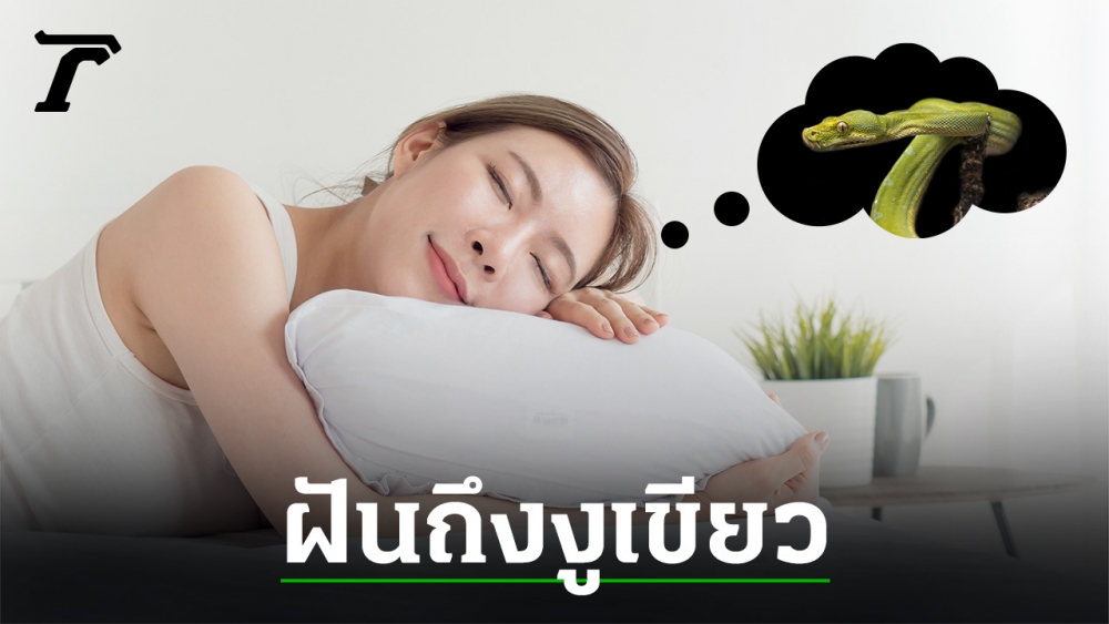 ทำนายฝัน ฝันเห็นงูเขียว หมายถึงเรื่องดีในชีวิต? พร้อมเลขเด็ด