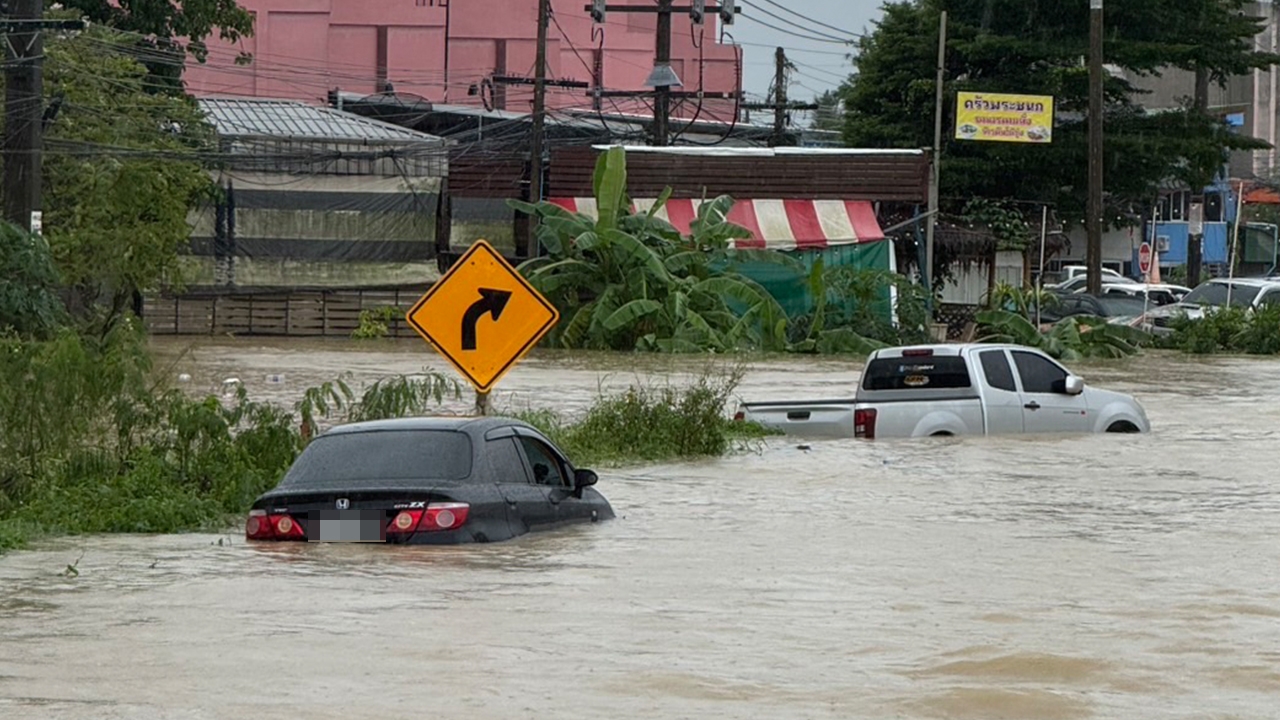 Bokep bocil baru tumbuh bulu