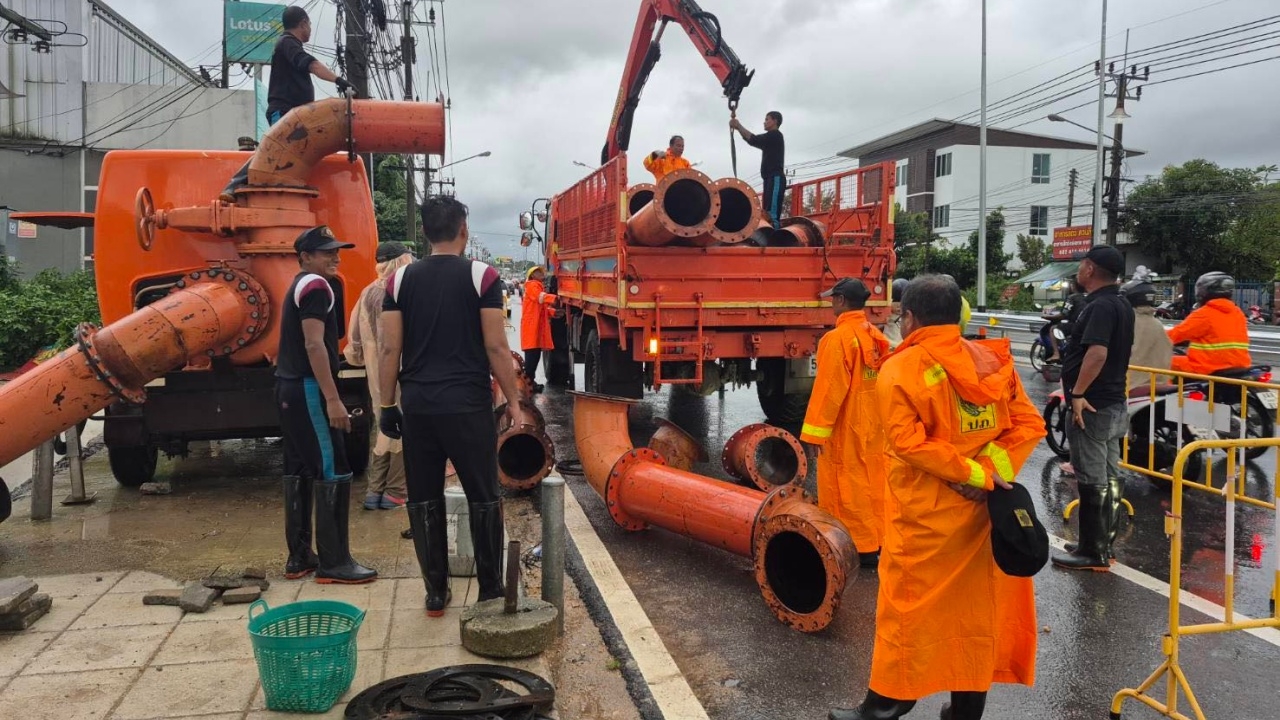 Acompanhate de brasília